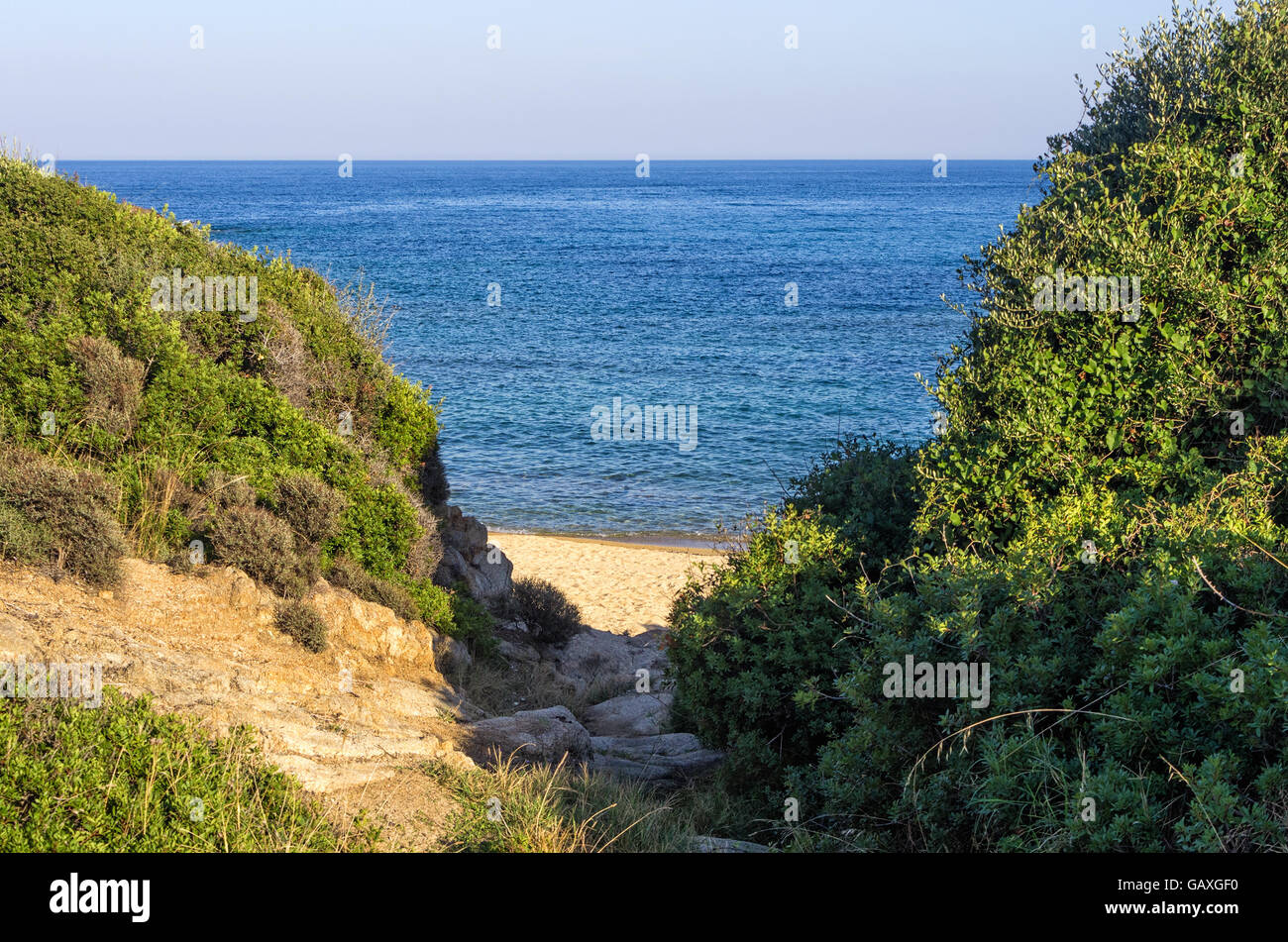 The forest meets the sea in Sithonia, Chalkidiki, Greece Stock Photo ...