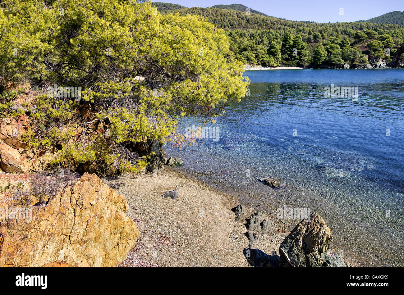Small secluded beach in Sithonia, Chalkidiki, Greece, like a little ...