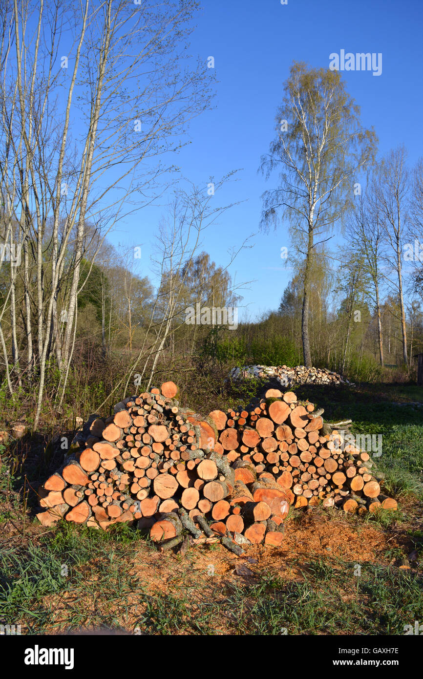 Log stack hi-res stock photography and images - Alamy