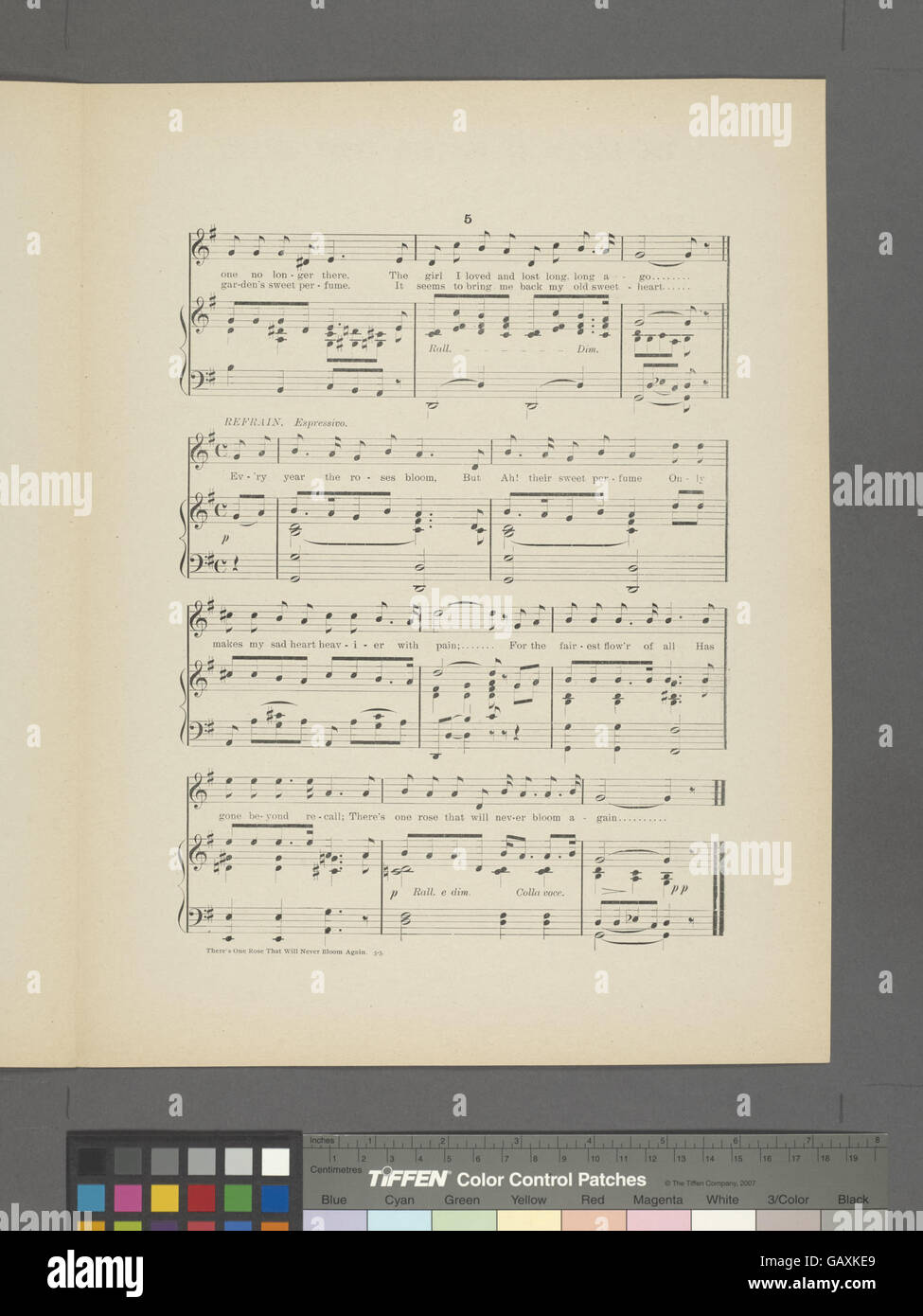 A melancholic expression that may signify the loss of something ...