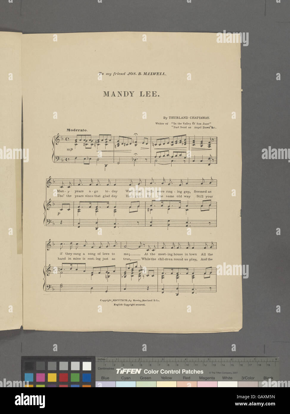 Mandy lee hi-res stock photography and images - Alamy