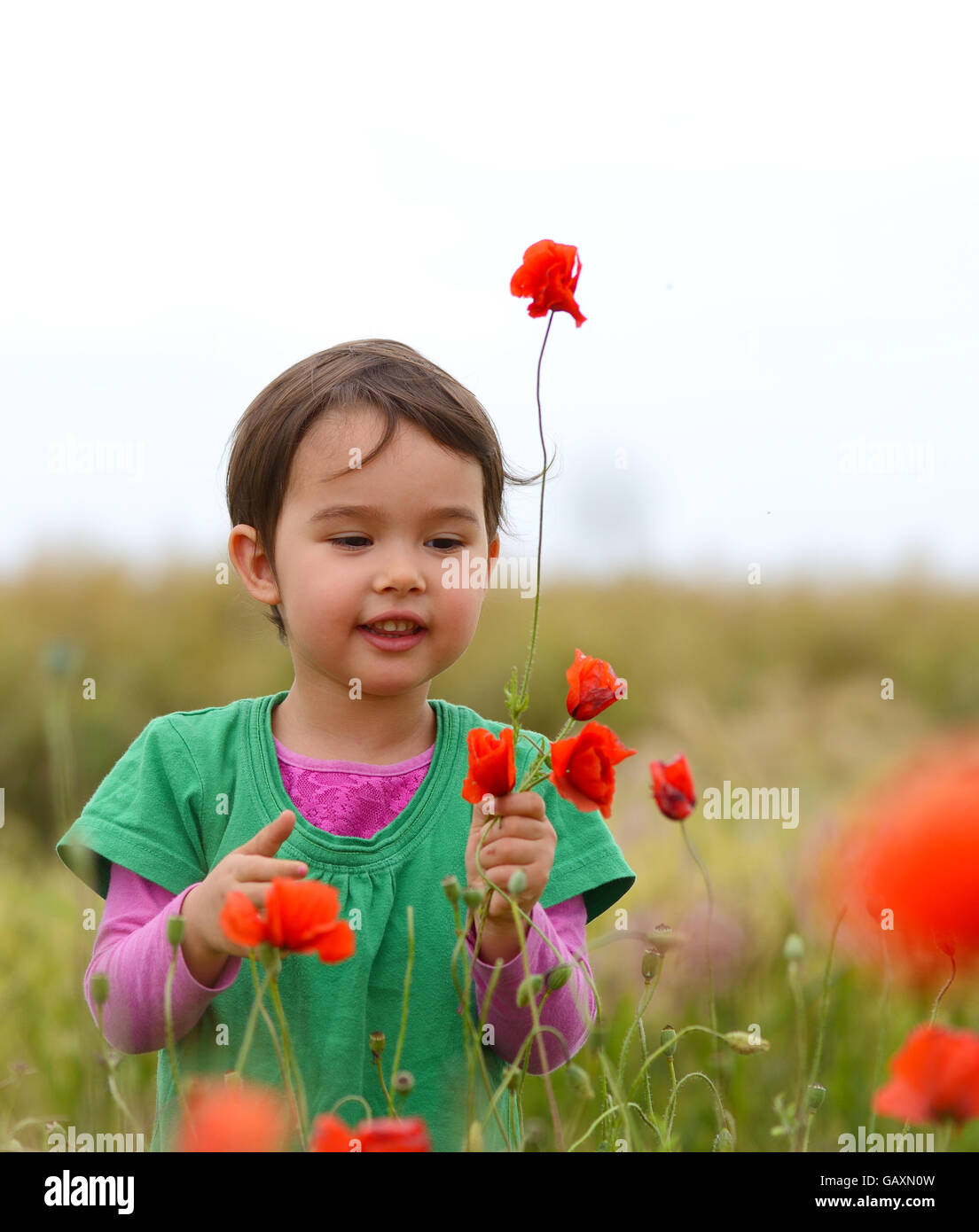 Happy cute child girl on poppies field. Happy children. Healthy ...