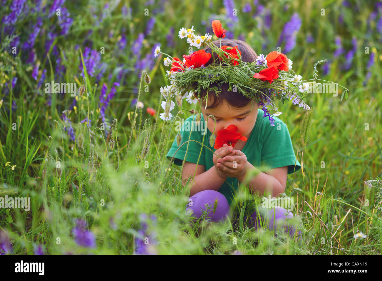 Happy cute child girl on poppies field Stock Photo - Alamy