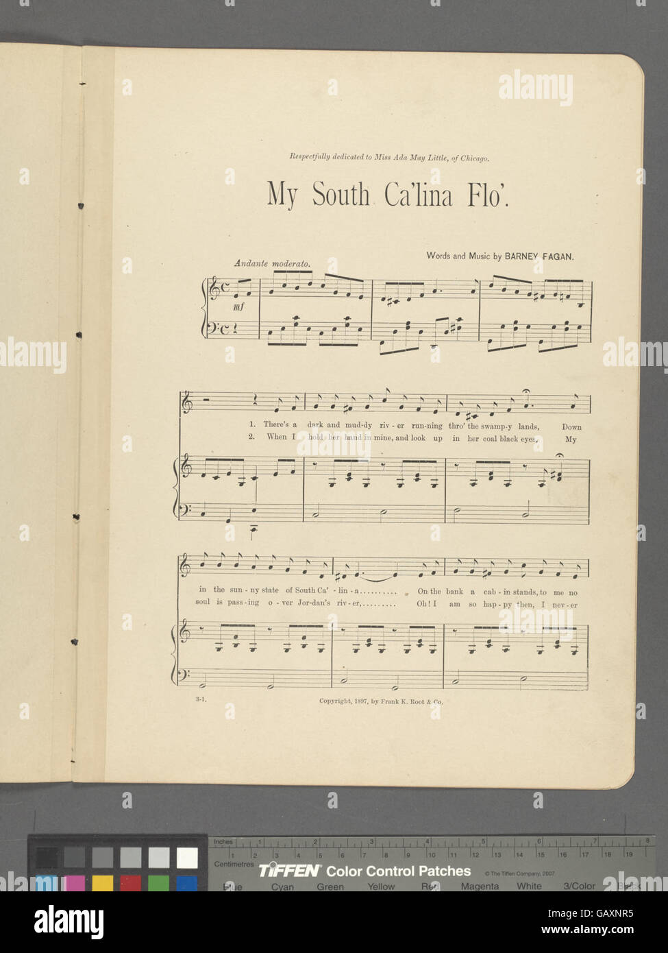 'My South Carolina Flo' suggests a song or narrative focused on a ...