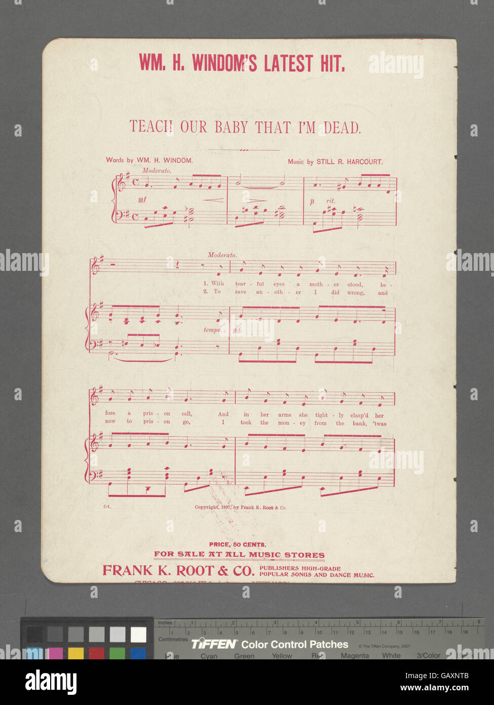 'My South Carolina Flo’ likely references a personal connection to the ...