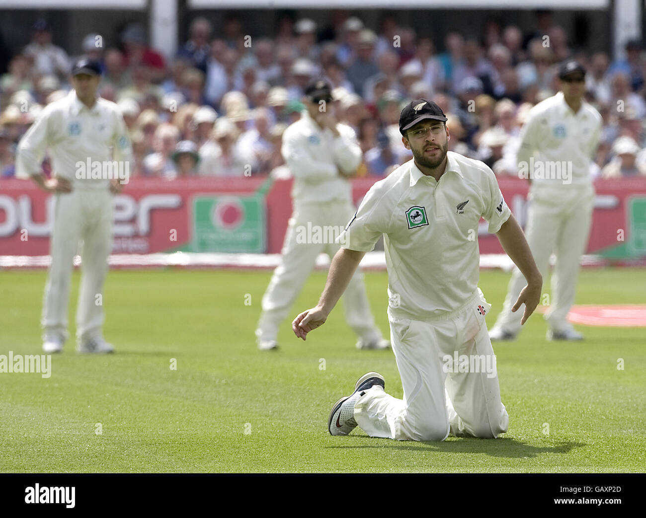 New Zealand's captain Daniel Vettori (front) slumps to his knees in ...