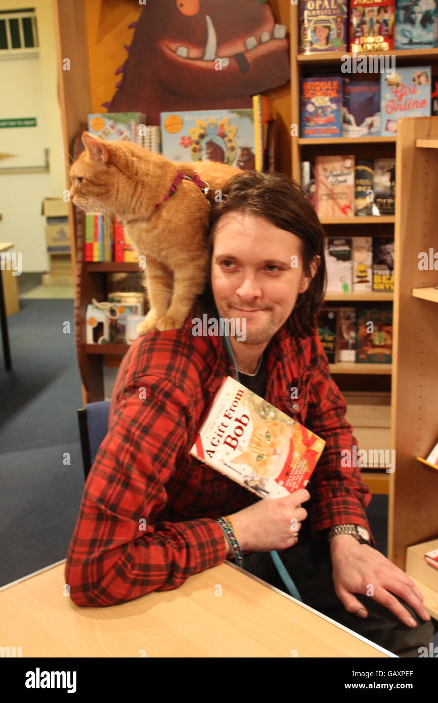 Bob the cat james hi-res stock photography and images - Alamy