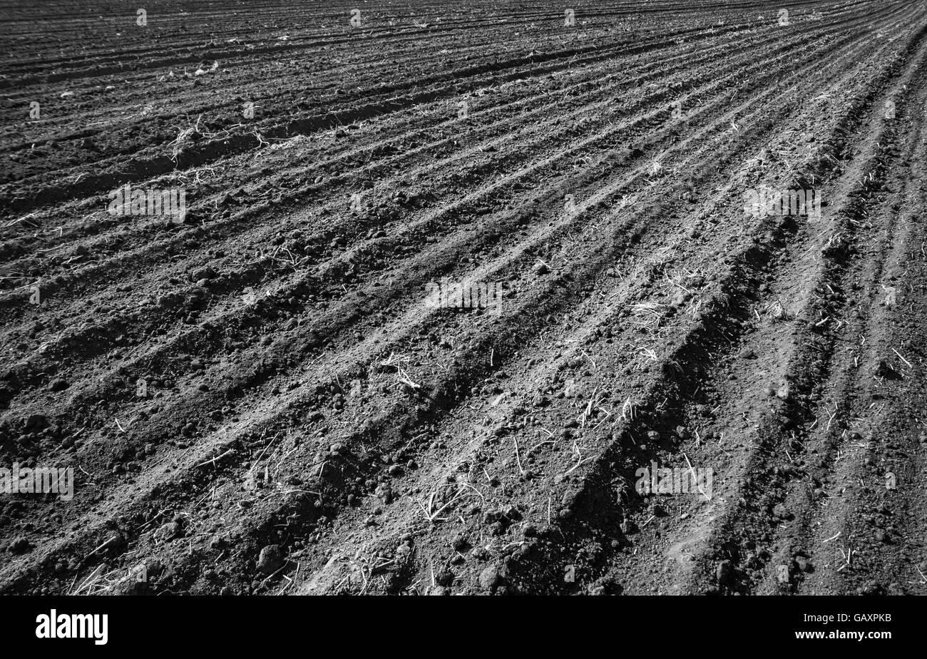 Arable country hi-res stock photography and images - Alamy