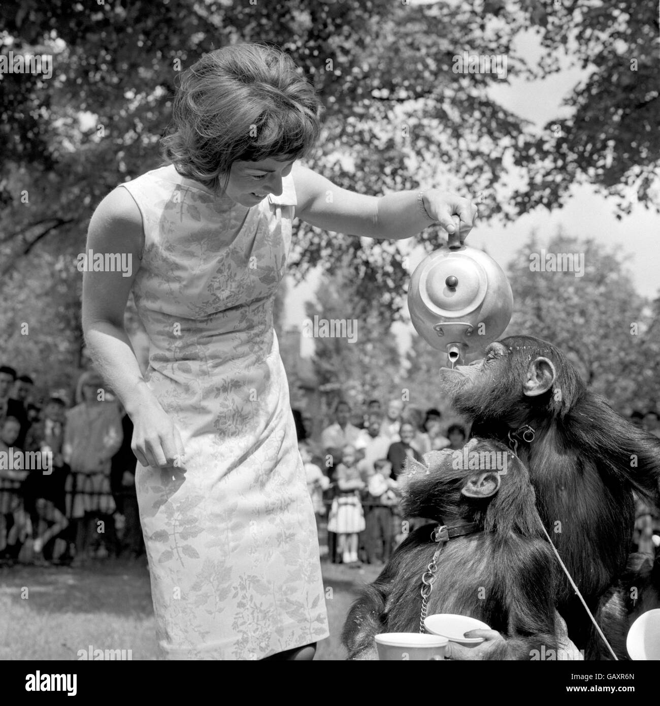 122903 1 hi-res stock photography and images - Alamy