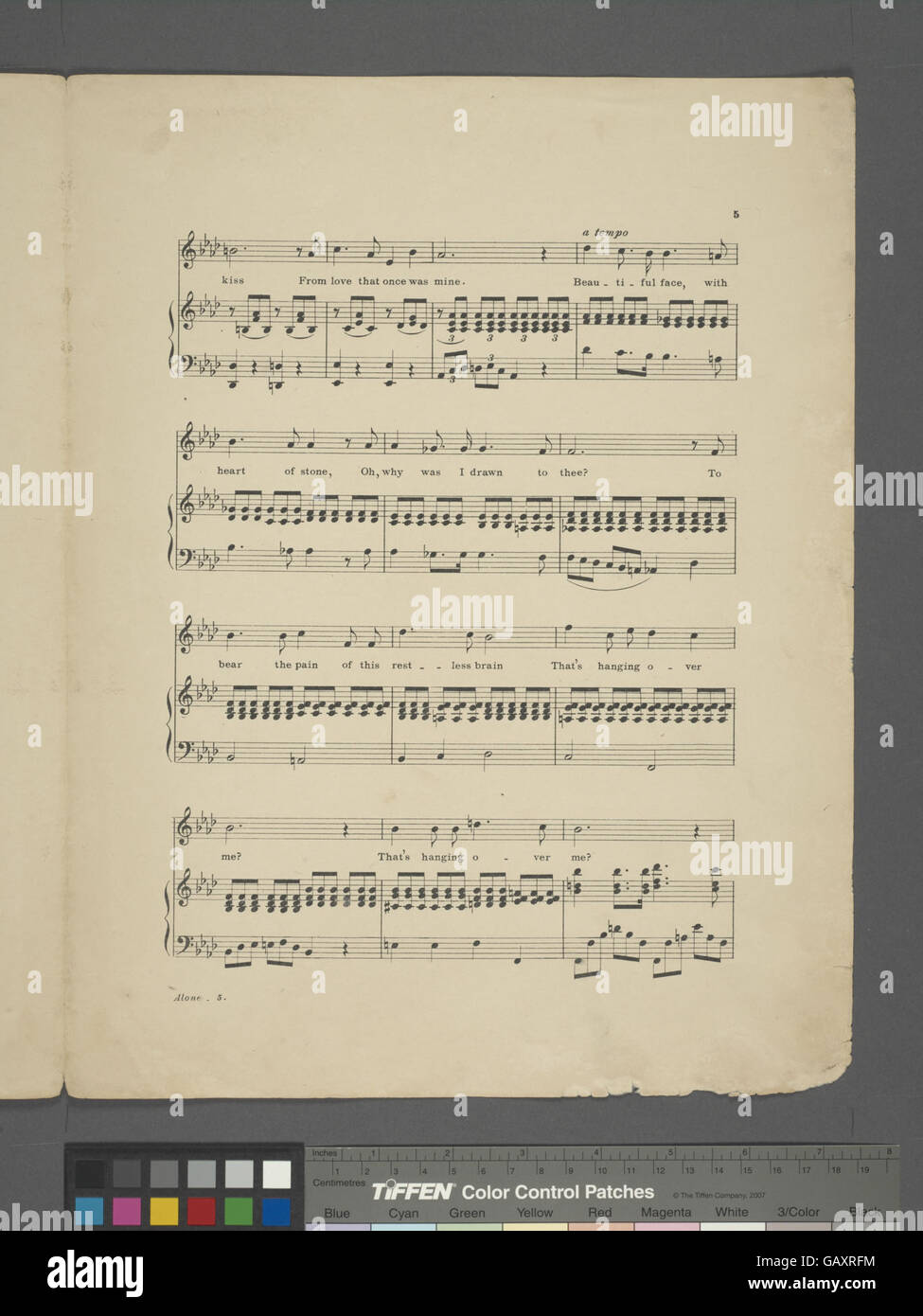 'Alone' is a poignant song that expresses themes of solitude ...