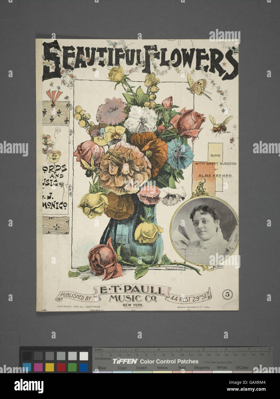 The image titled 'Beautiful Flowers' features the aircraft Hades-610057 ...