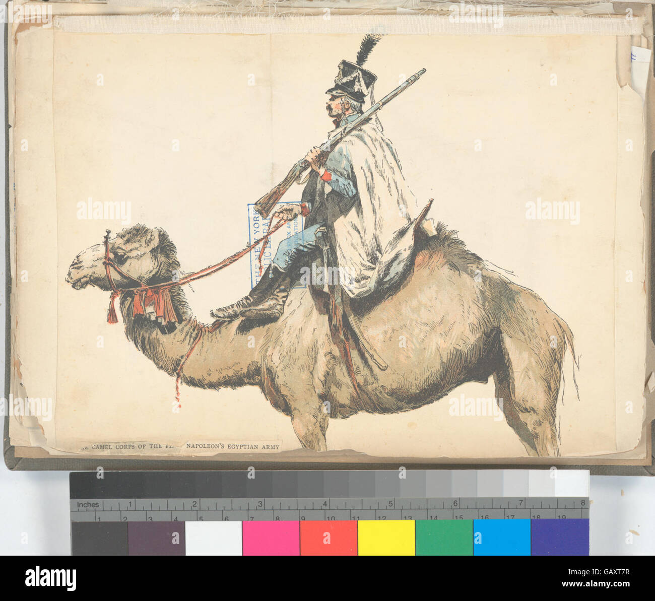 France, 1799-1801. Campaign in Egypt ( b14896507-1237732 Stock Photo ...