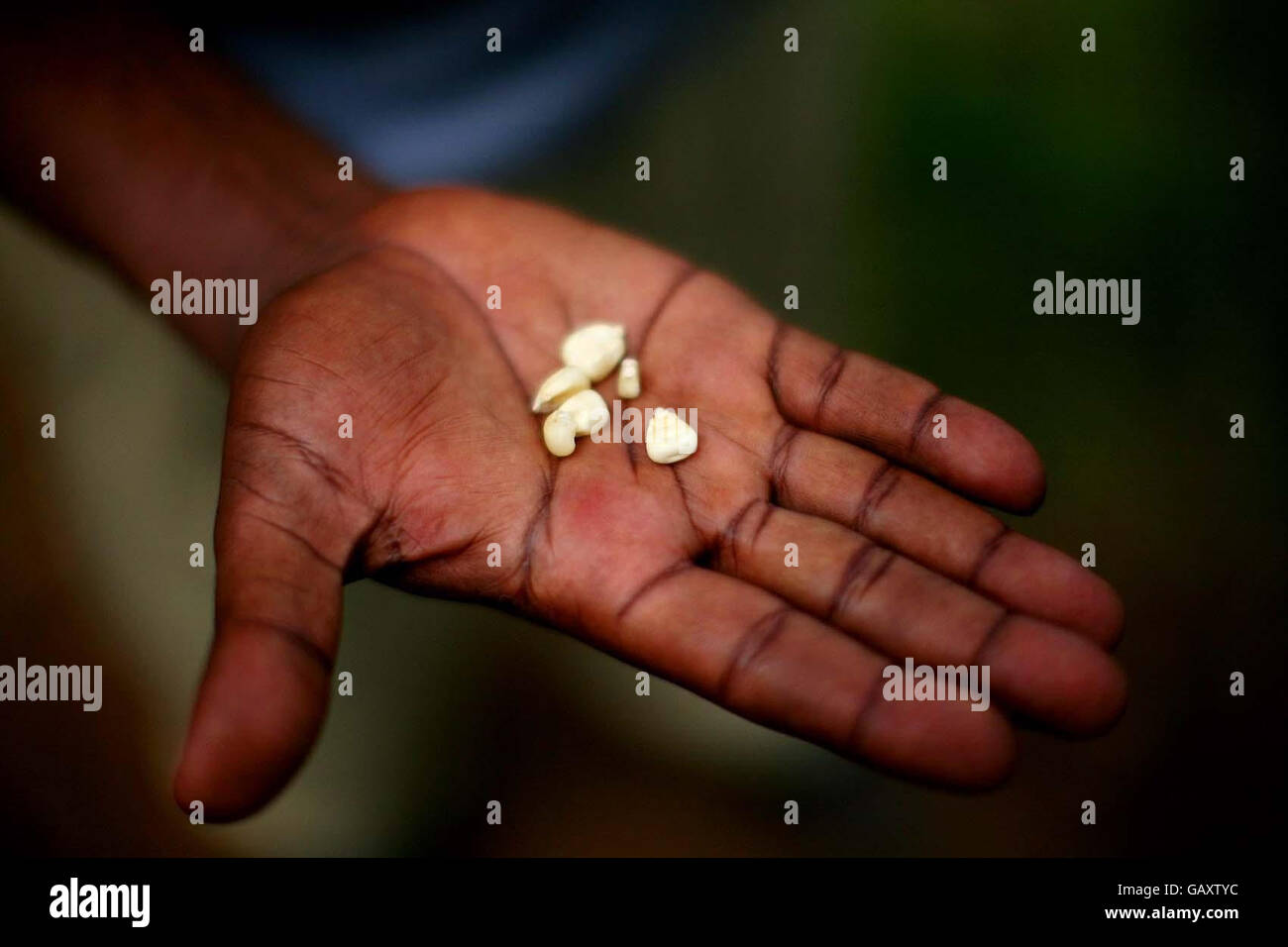 Food shortage leaves thousands staring into the abyss Stock Photo - Alamy
