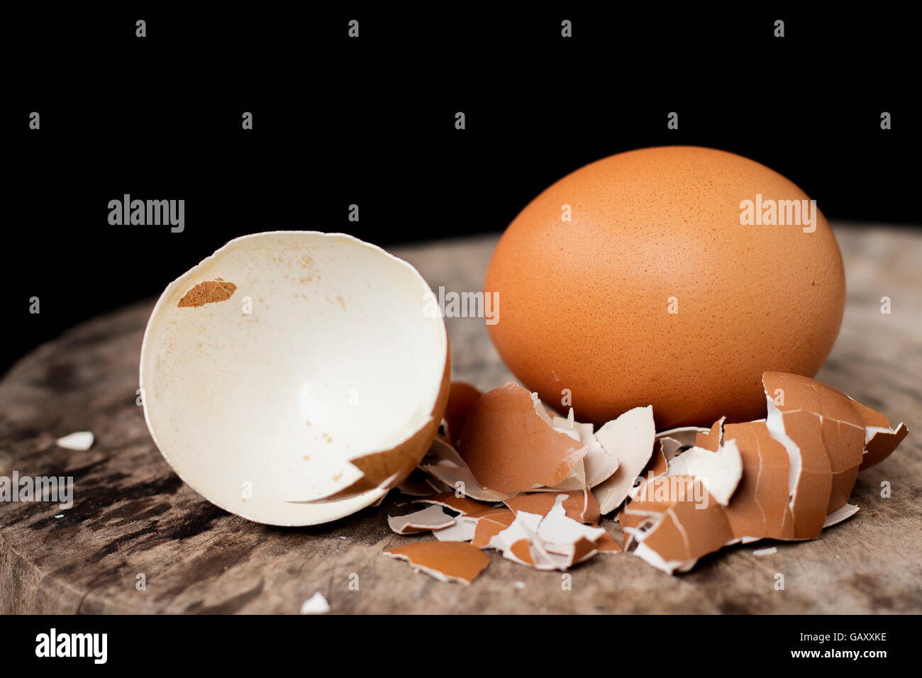 Large chicken white hen hi-res stock photography and images - Alamy