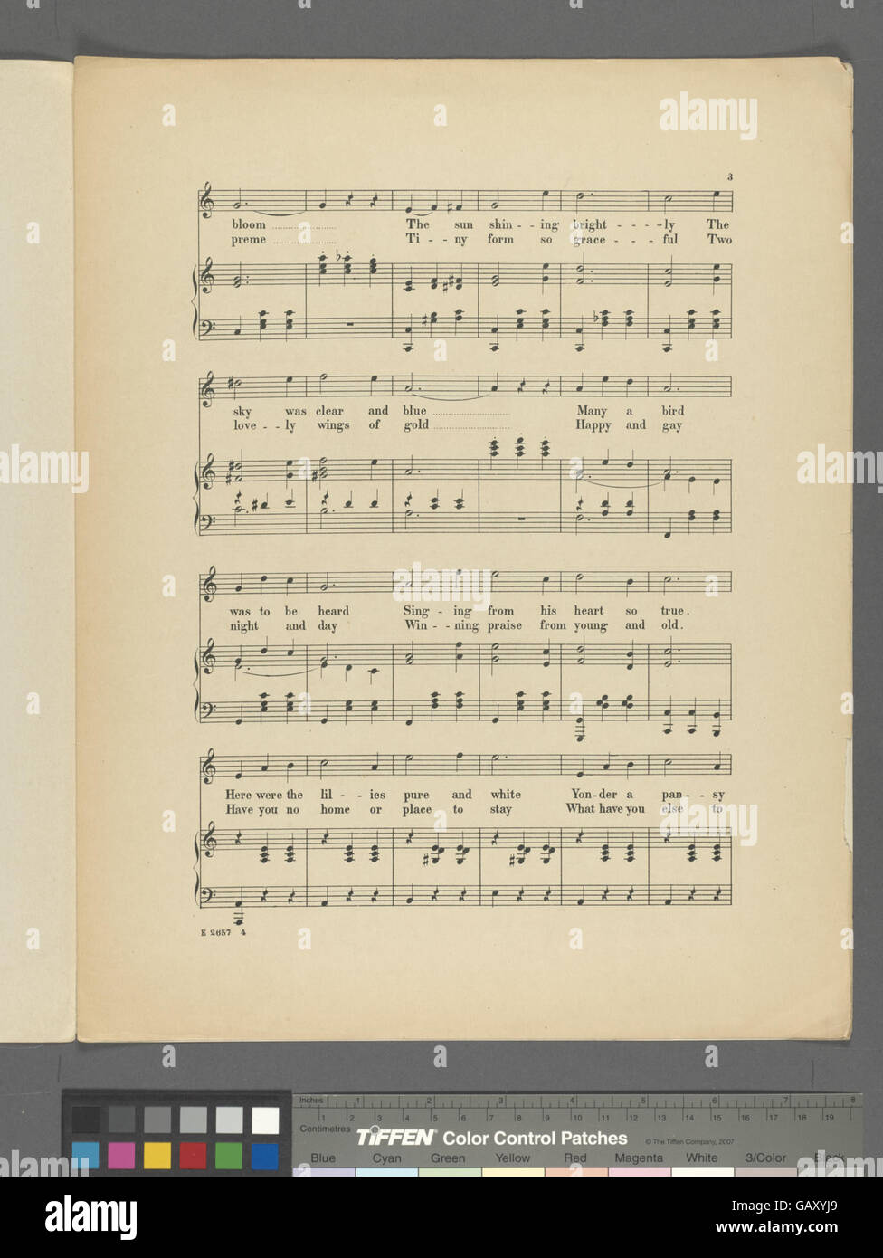 'The Butterfly' is likely a song or artistic piece symbolizing ...