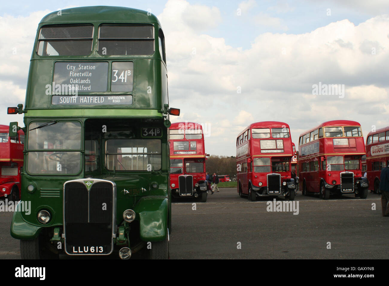 AEC RT line up at Cobham with RT and RTL types Stock Photo - Alamy