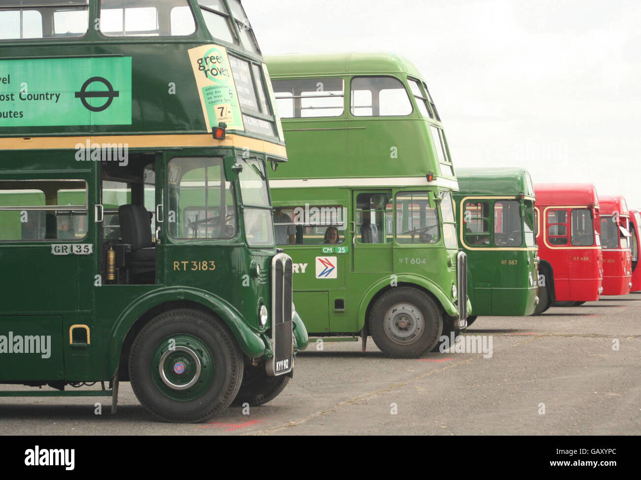 RTs and RFs at Cobham Bus Rally Stock Photo - Alamy