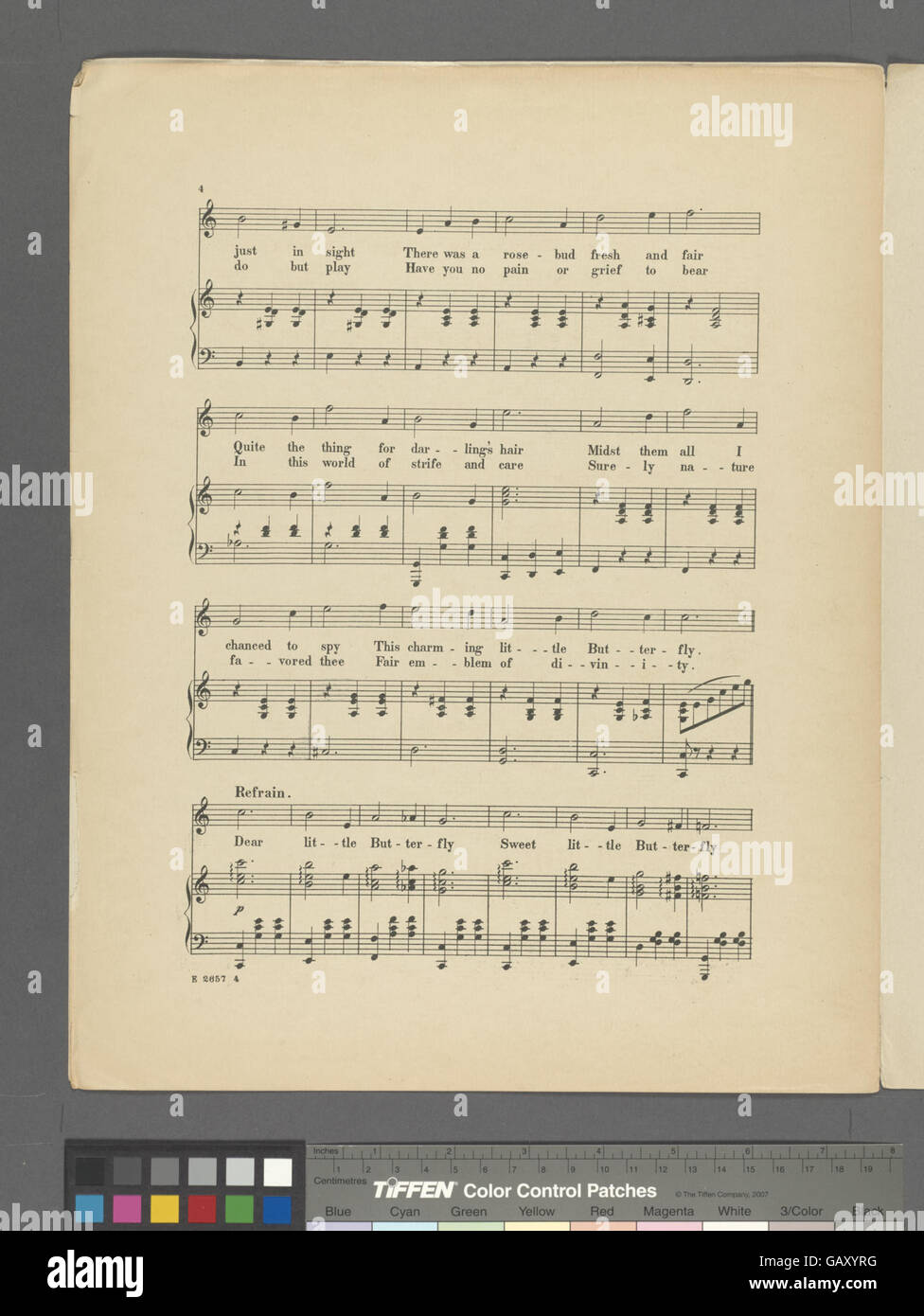 'The Butterfly' could symbolize transformation, beauty, or fragility ...