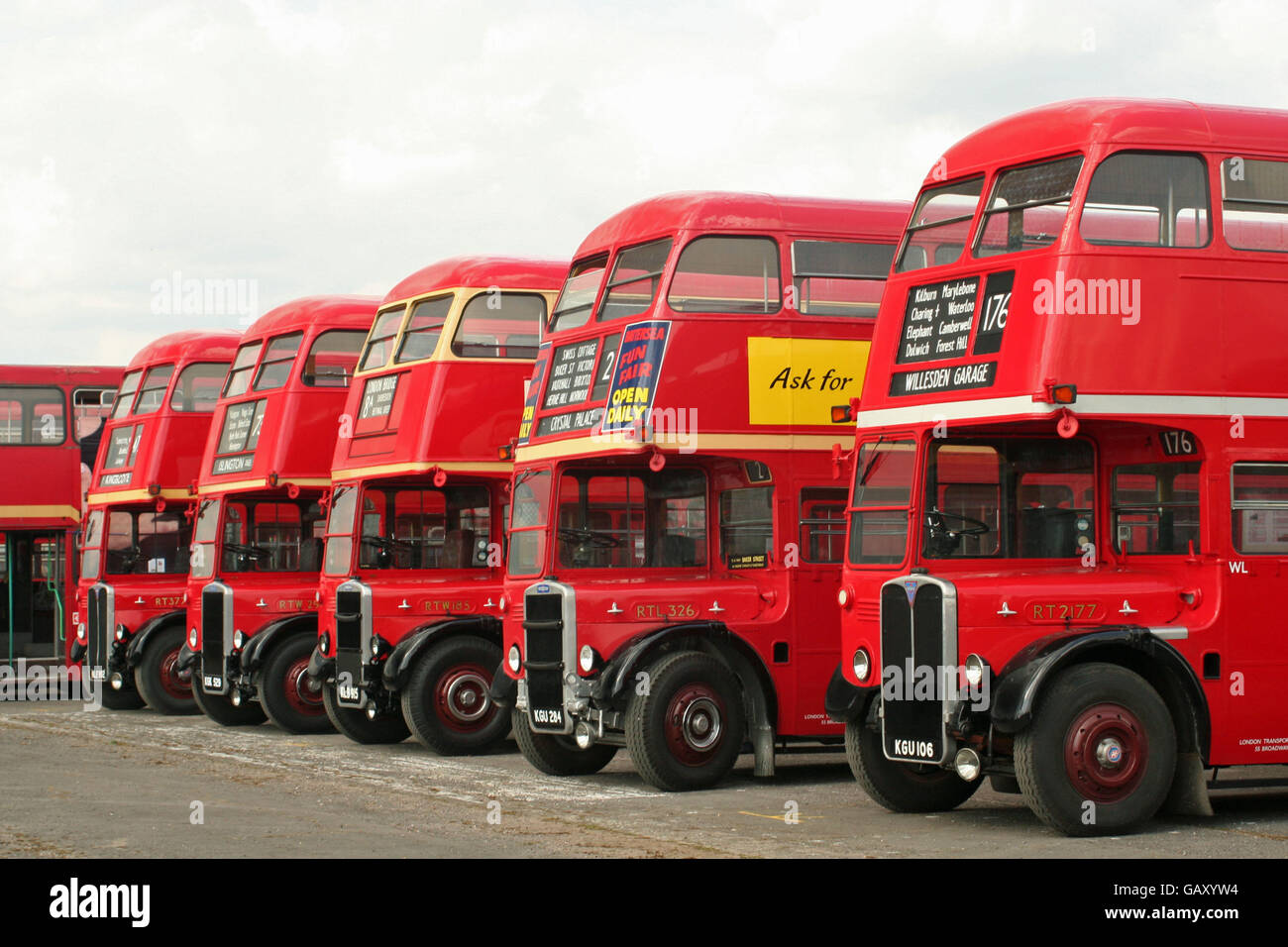 Preserved AEC RT line up at Cobham Bus Rally Stock Photo - Alamy