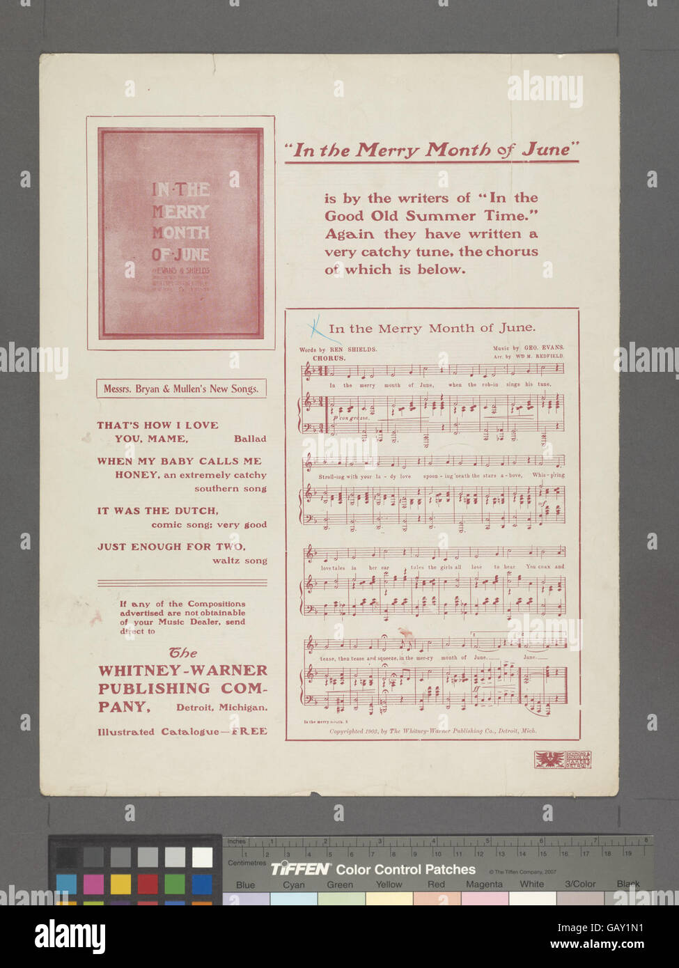 'Lenore, My Own Lenore' is a song expressing deep admiration and love ...