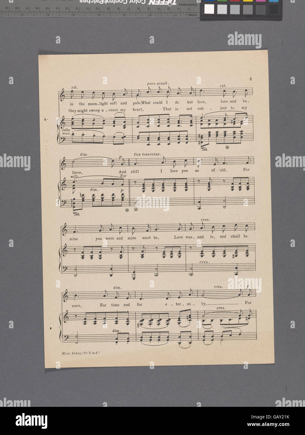 'Mine Always' conveys a sense of enduring love and commitment. The ...