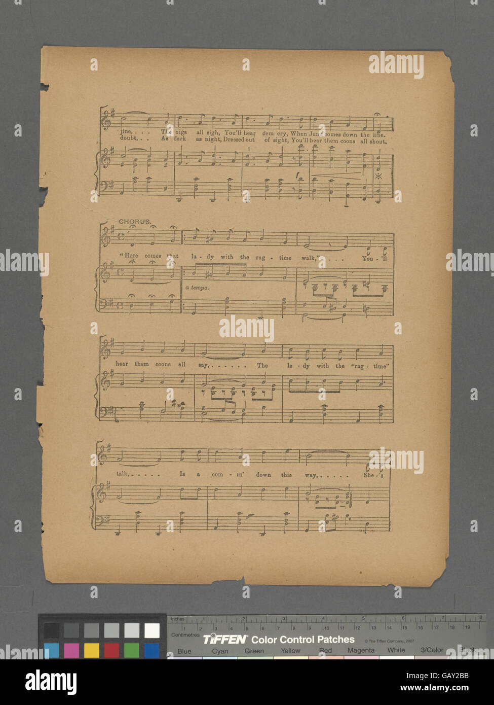 The subject of this image is a woman known for her distinctive 'rag ...