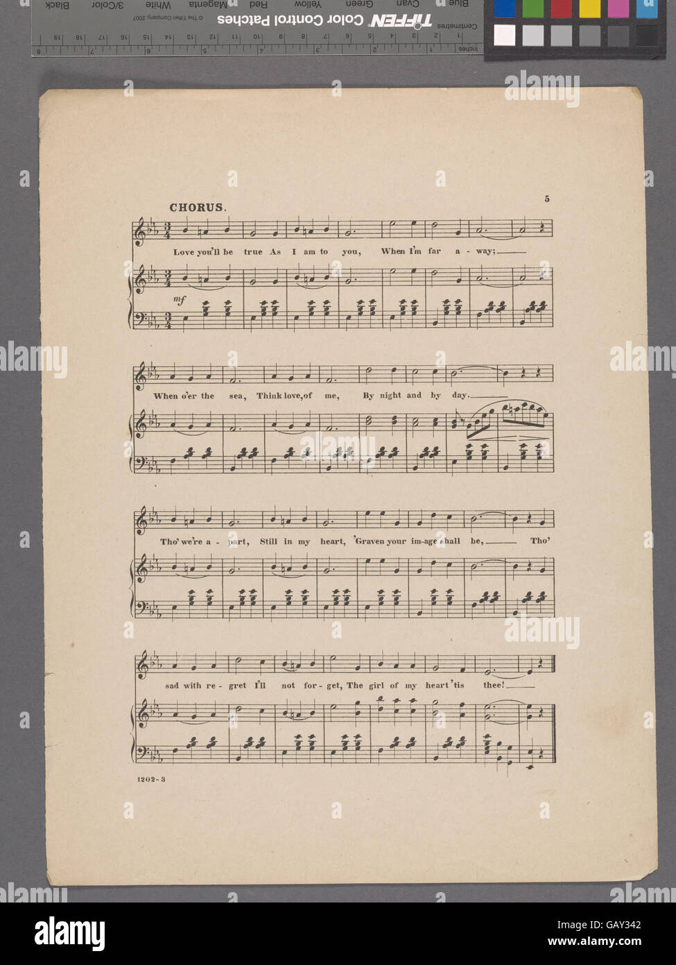 A phrase expressing a commitment to faithful and sincere love ...