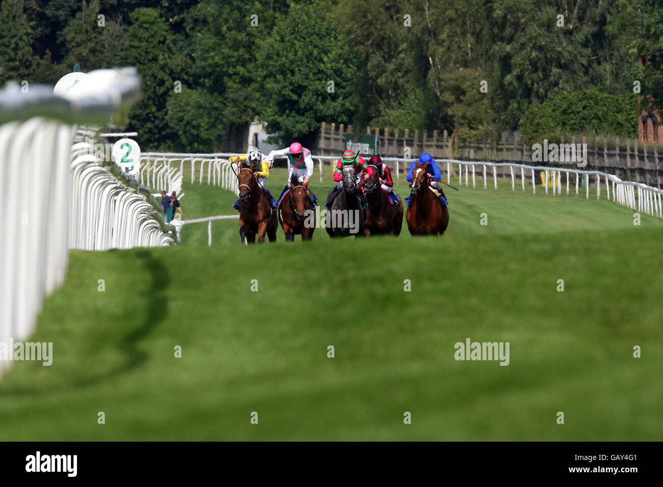 Park volumes hi-res stock photography and images - Alamy