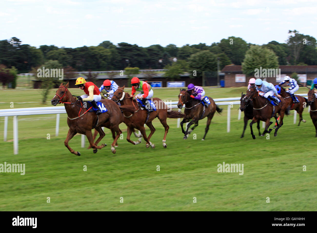 Horse Racing - The Property Race Day - Sandown Park. Crimson Fern ...