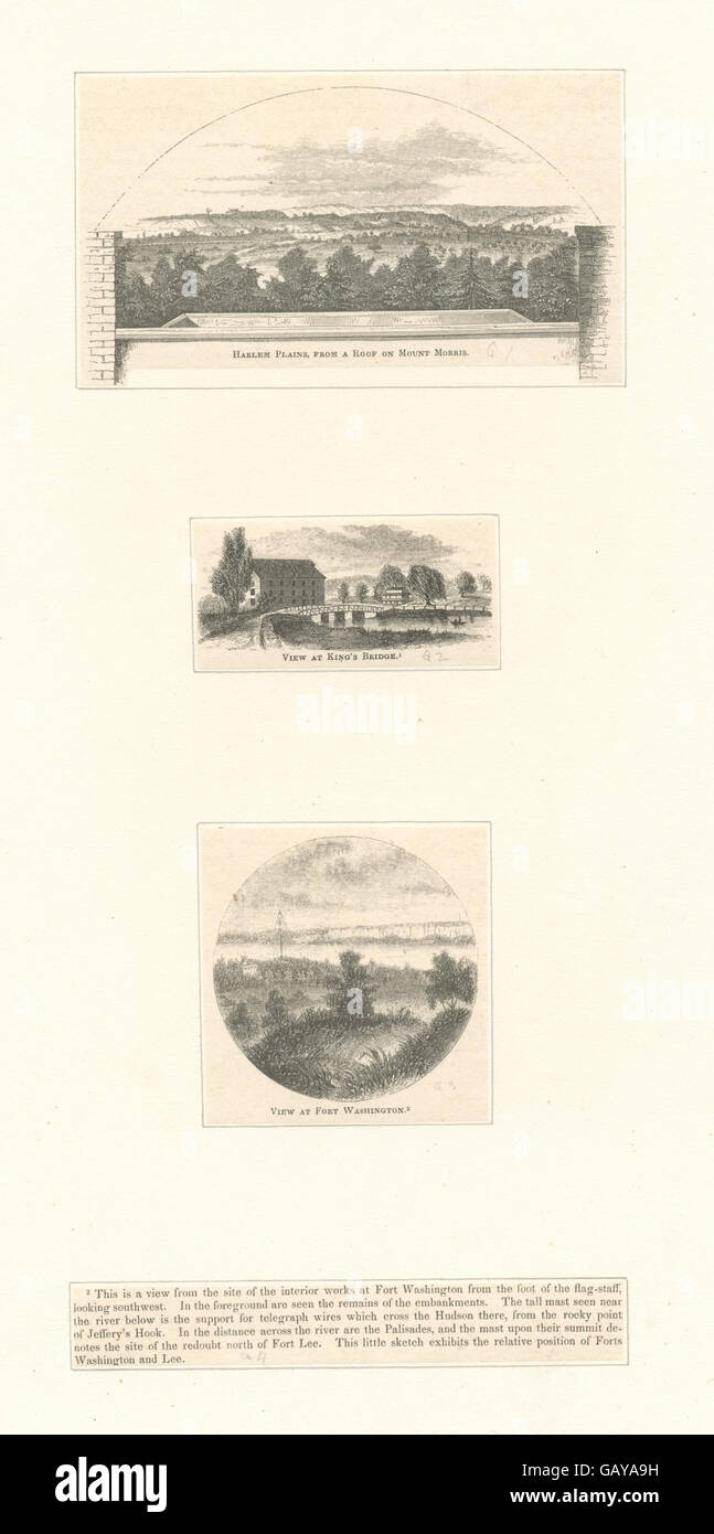 An image showcasing the view of the Harlem Plains from a rooftop on ...