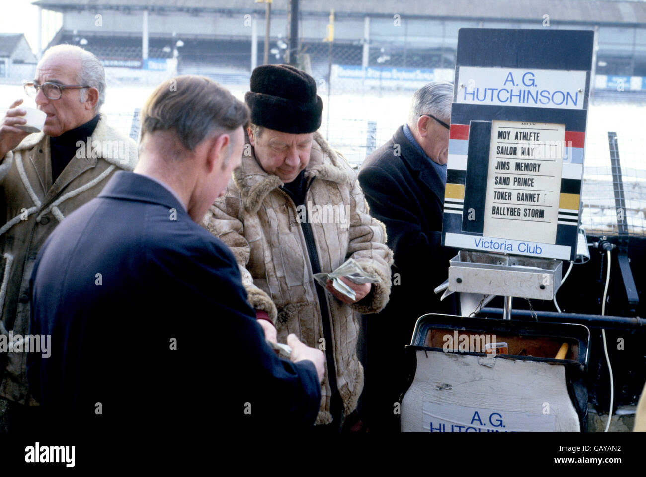 Greyhound Racing - Hackney Stock Photo - Alamy
