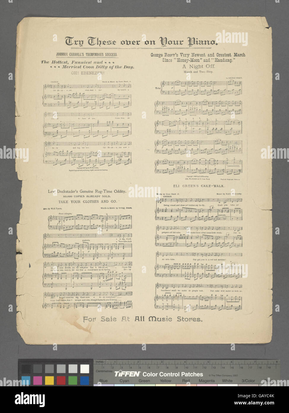 The title refers to a woman with deep roots in Kentucky, implying a ...