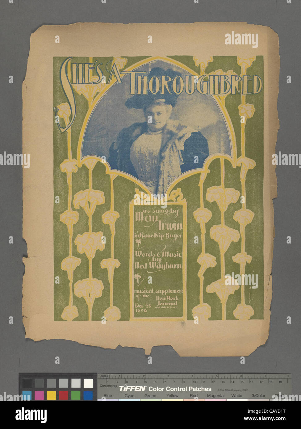 'She's a Thoroughbred' refers to a strong, graceful, and well-bred ...