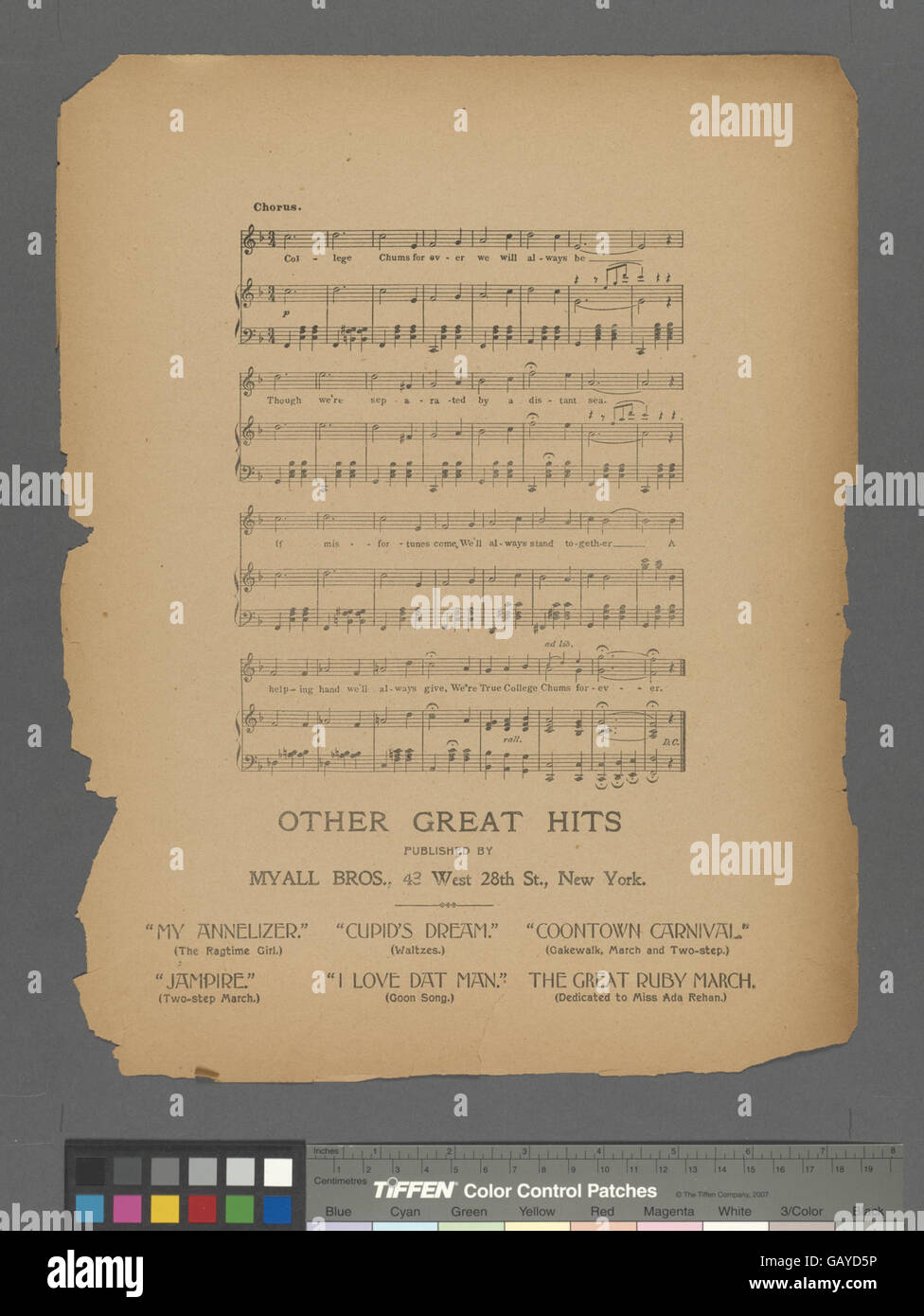 This image captures the enduring friendship between college companions ...