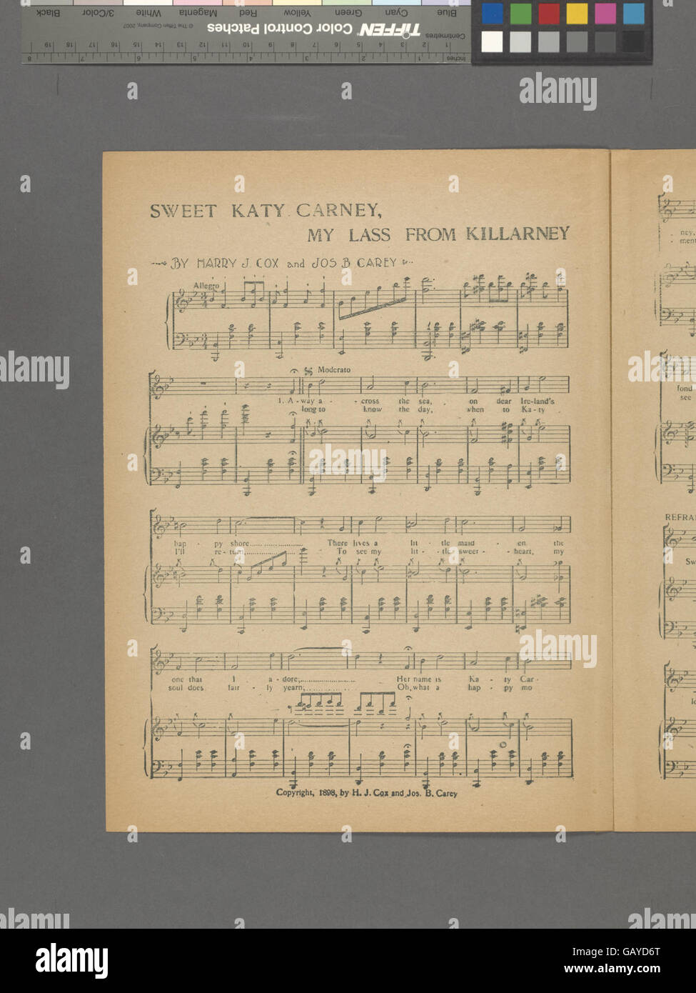 'Sweet Katy Carney, My Lass from Killarney' is likely a traditional ...