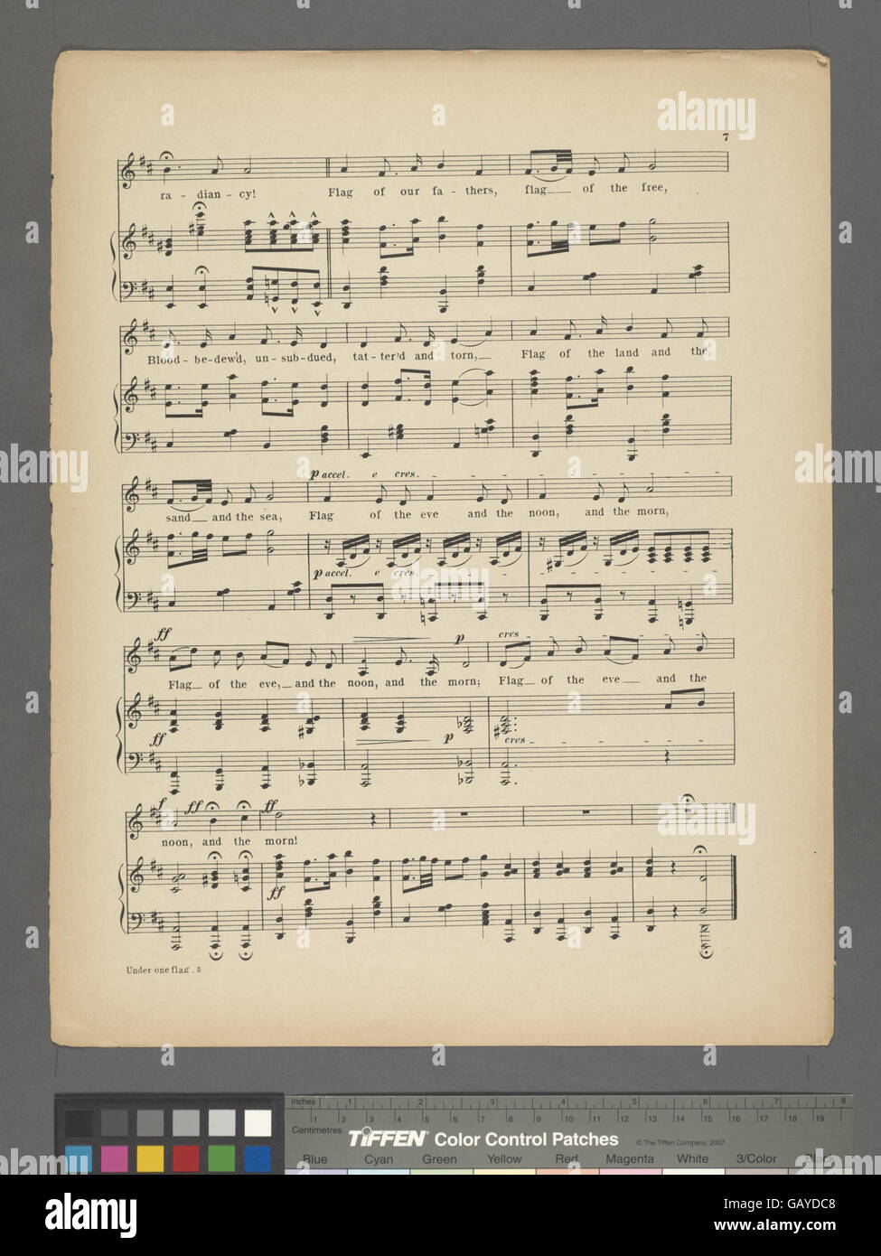 A unifying concept symbolizing people or groups coming together under ...