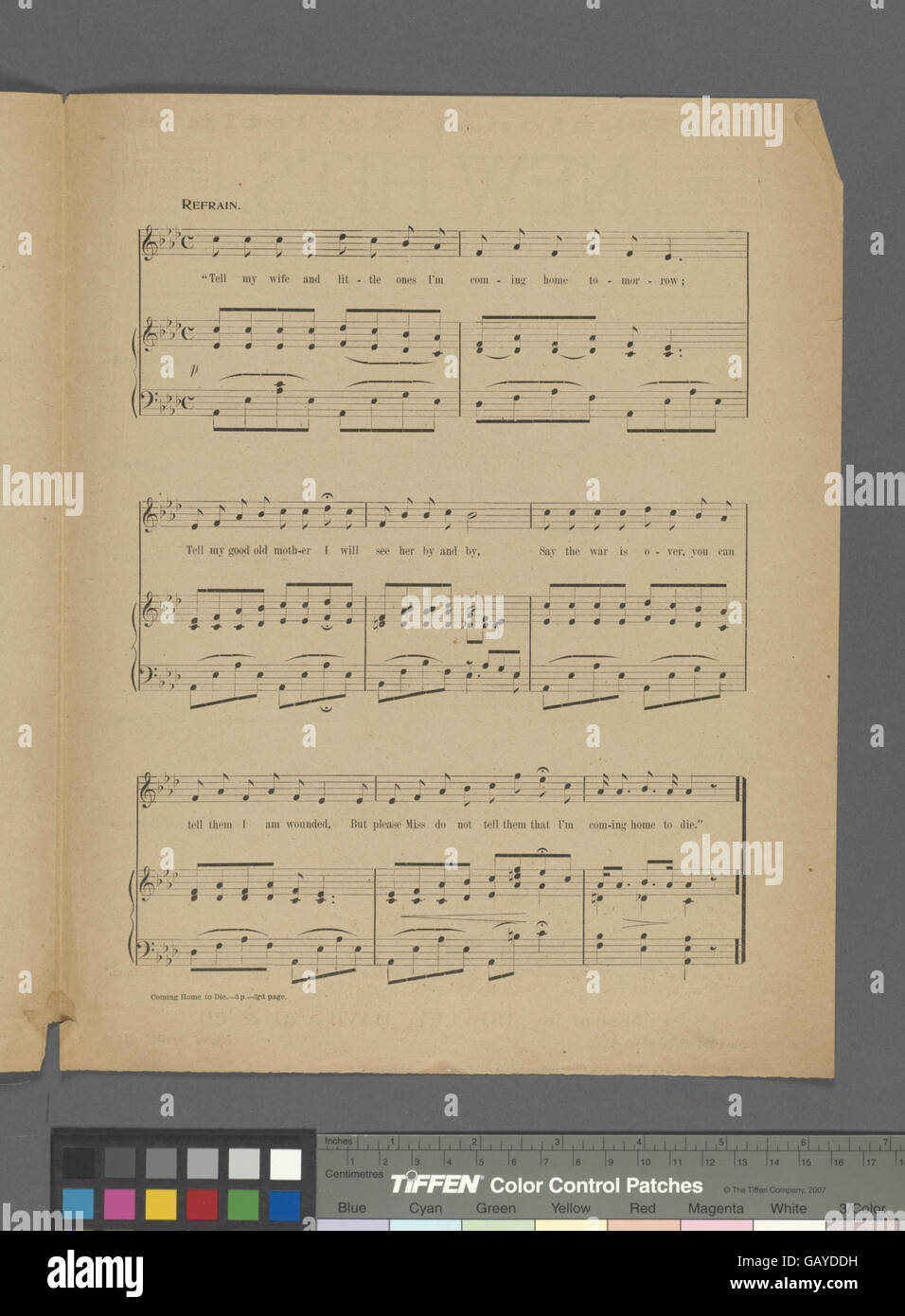 'Coming Home to Die' is a somber, reflective song likely conveying ...