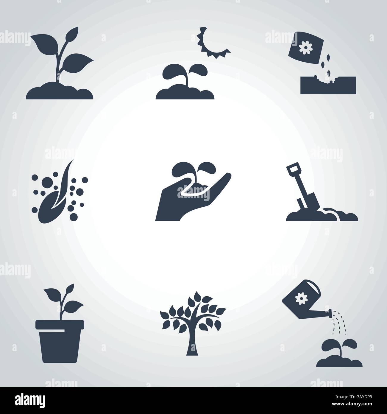 Vector black growing icon set Stock Vector Image & Art - Alamy