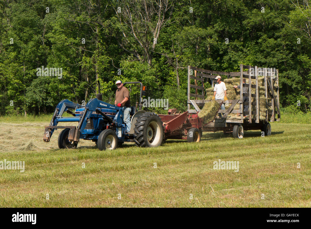 Hay And Bailer High Resolution Stock Photography and Images - Alamy