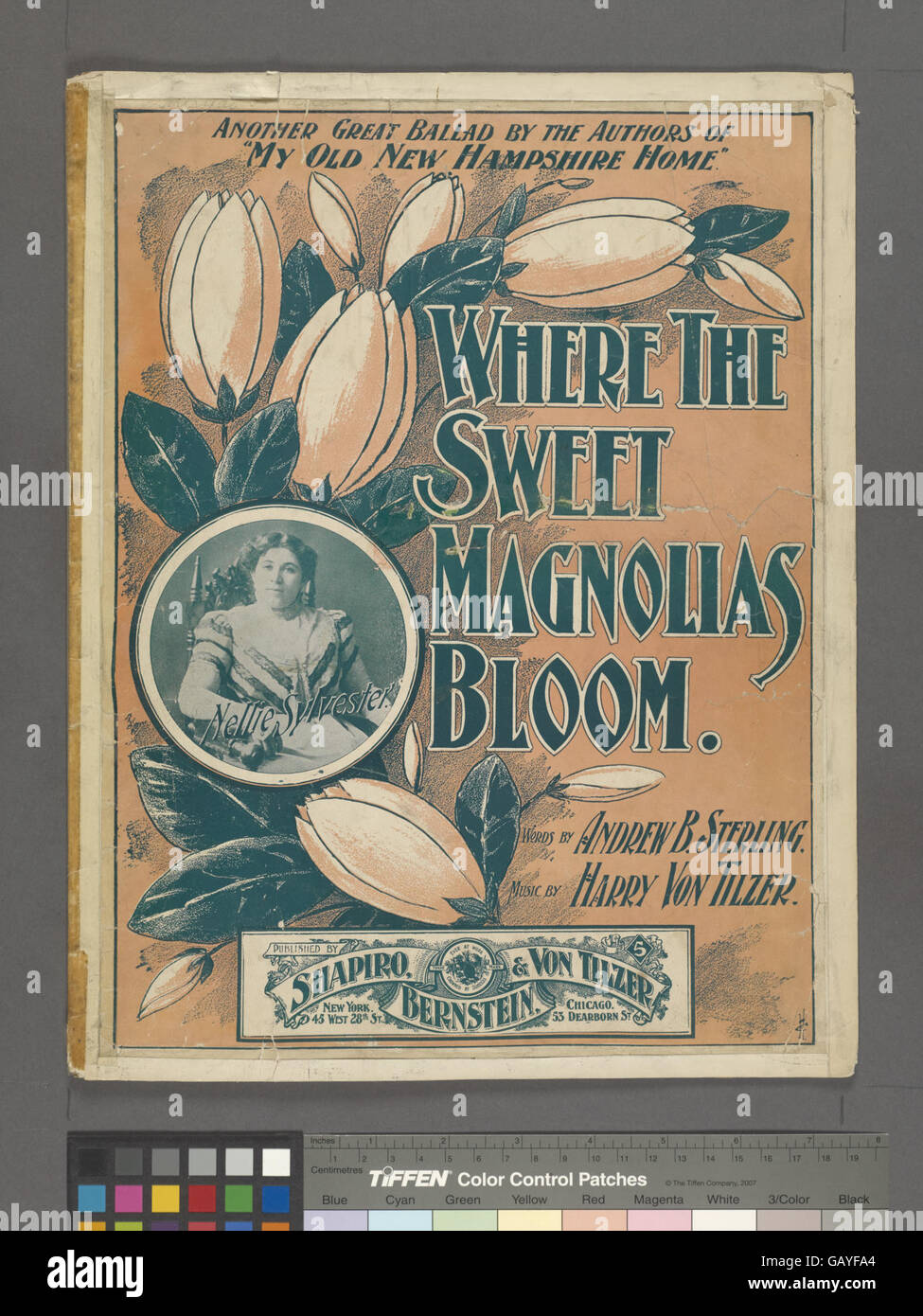 'Where the Sweet Magnolias Bloom' evokes the beauty and charm of ...