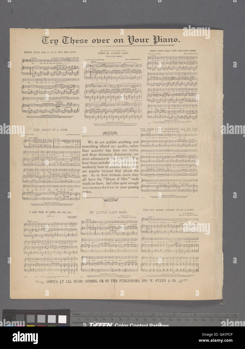 'My Little Jungle Queen' is a title that likely refers to a person or ...