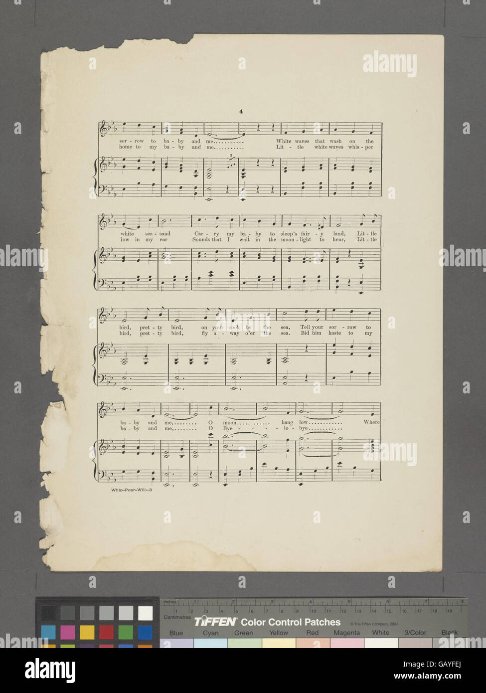 'Whip-poor-will Lullaby' is likely a gentle, melodic song inspired by ...