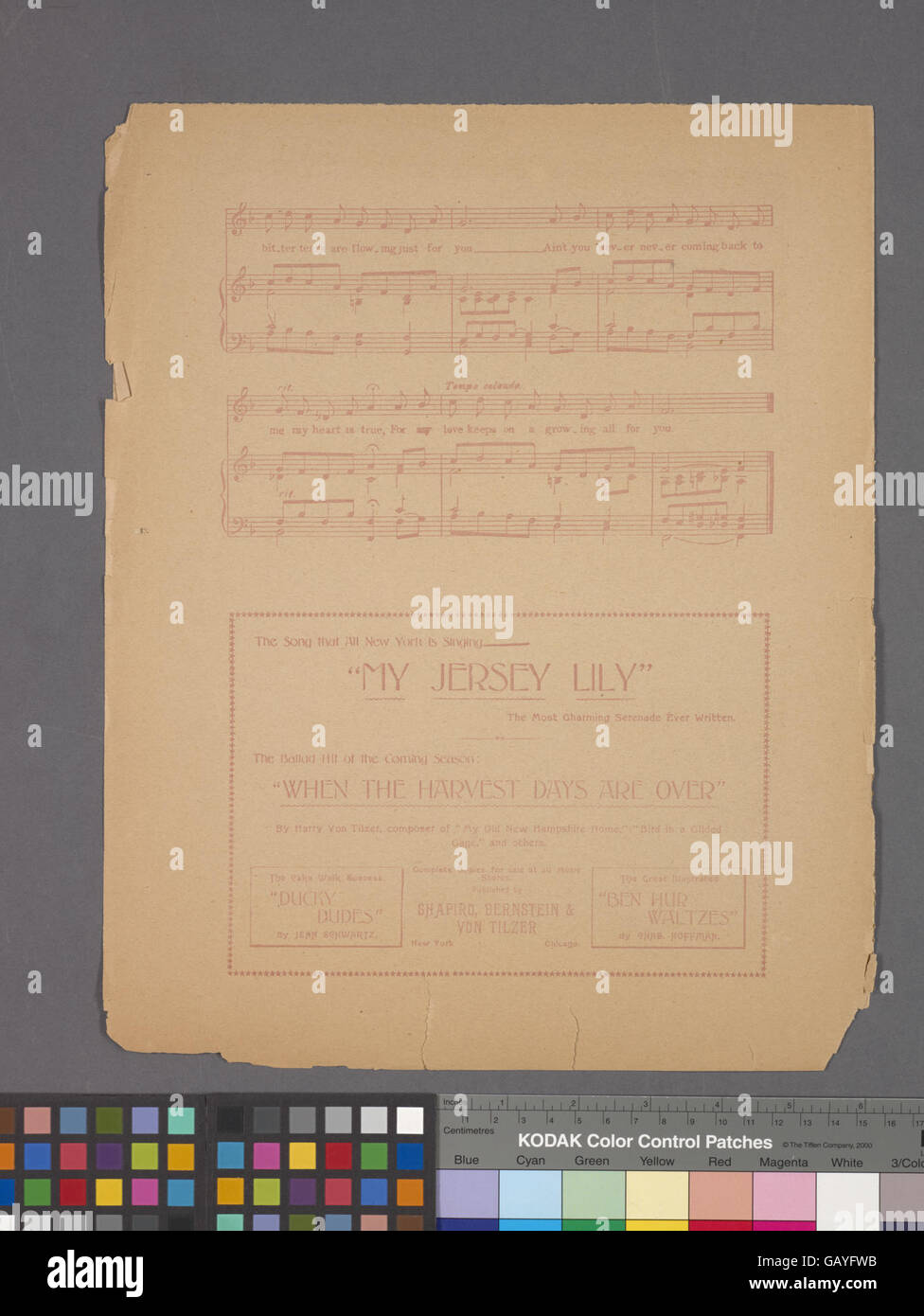 Sentimental image or reference to a romantic expression, reflecting ...