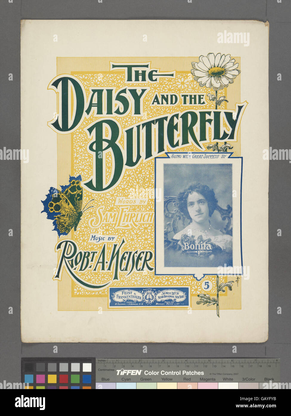 'The Daisy and the Butterfly' may represent themes of innocence, beauty ...