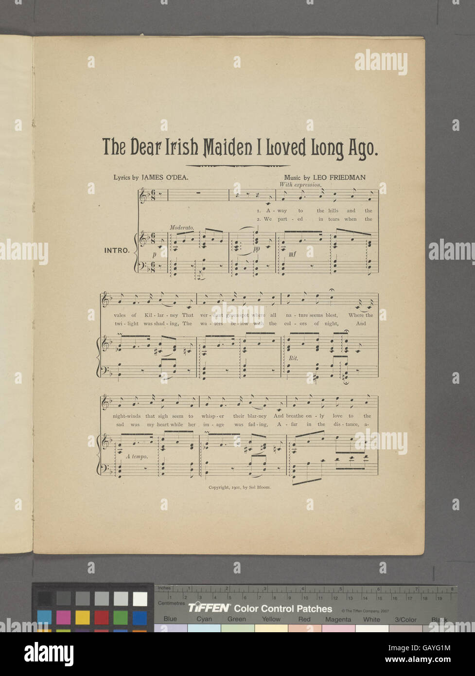 'The Dear Irish Maiden I Loved Long Ago' suggests a romantic and ...