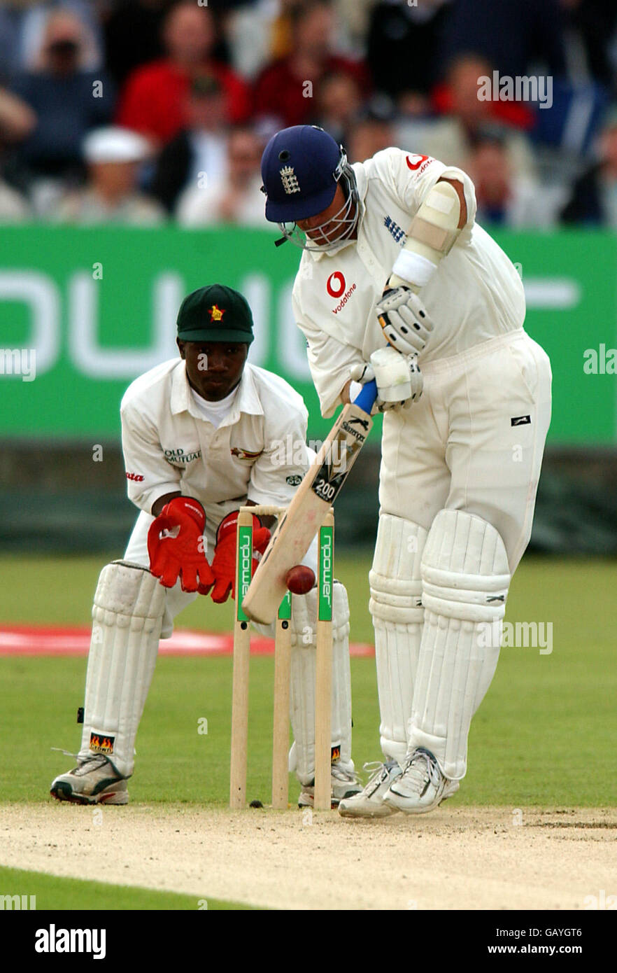 Cricket anthony mcgrath hi-res stock photography and images - Alamy