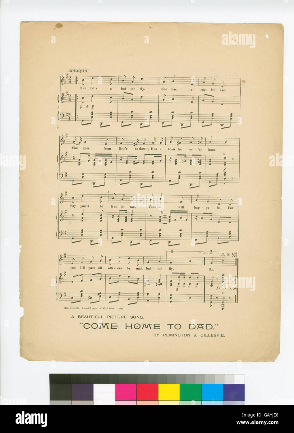 Mah butterfly hi-res stock photography and images - Alamy