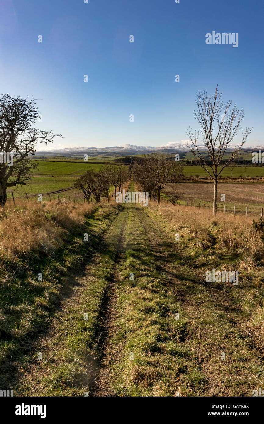 Cheviot hills hi-res stock photography and images - Alamy