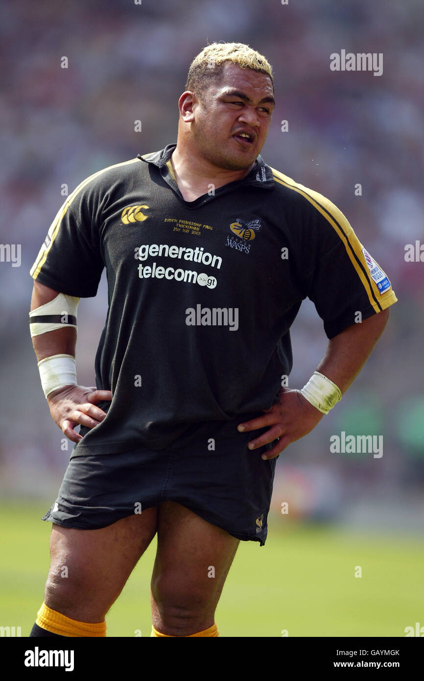 Trevor leota of wasps hi-res stock photography and images - Alamy