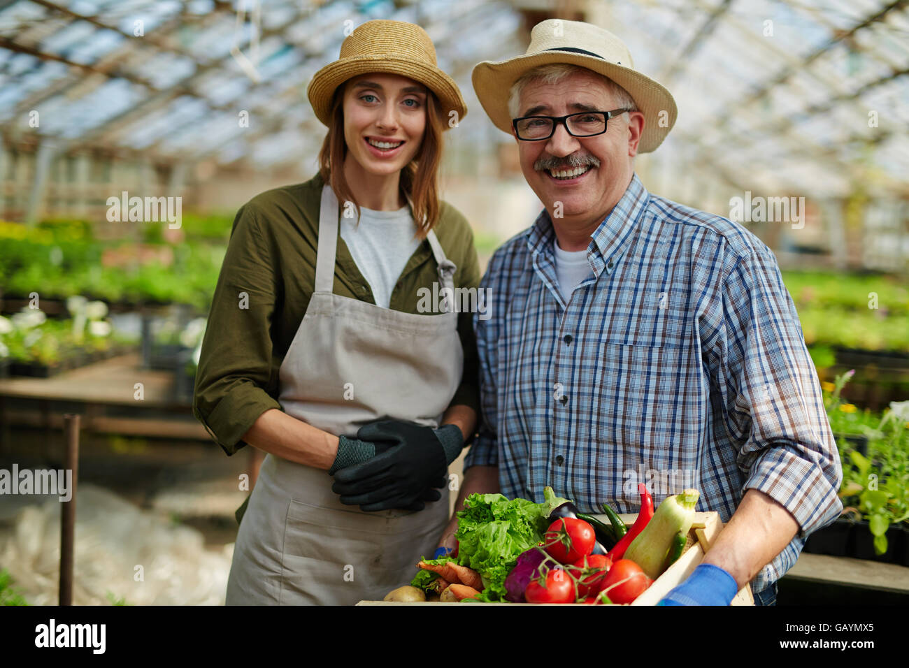 Gardeners with harvest Stock Photo - Alamy